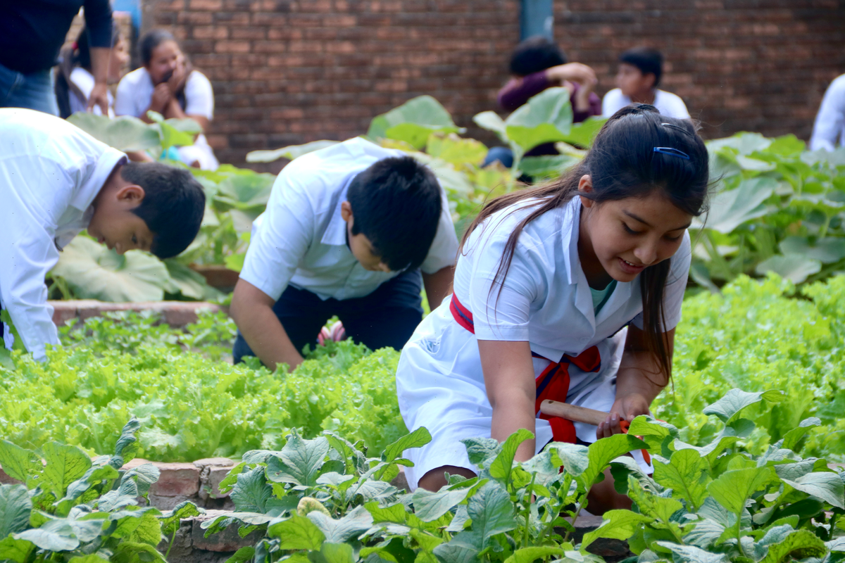 L'agroécologie pour assurer une alimentation saine | Ensemble pour un ...